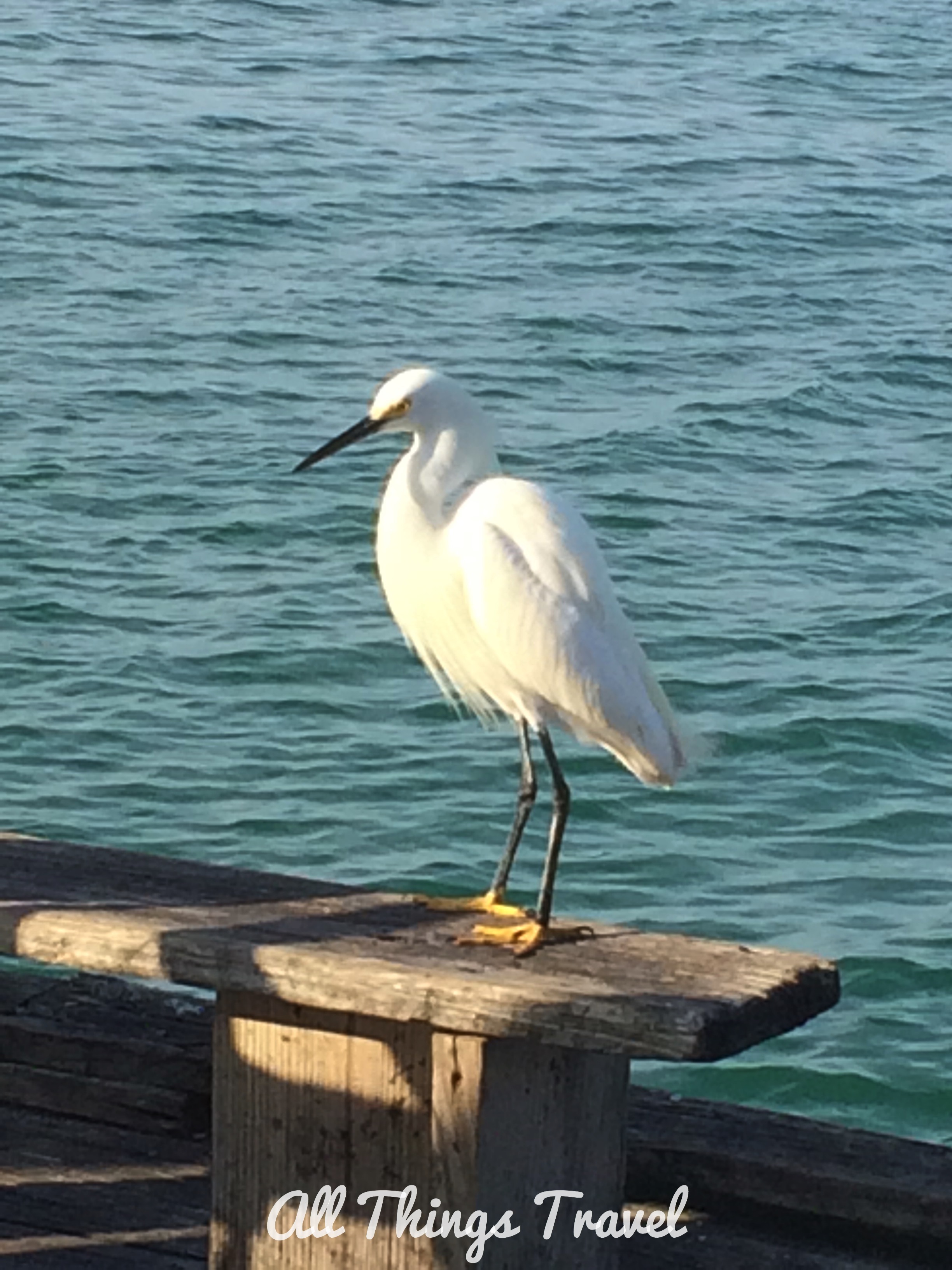 Siesta Key and Beyond | All Things Travel